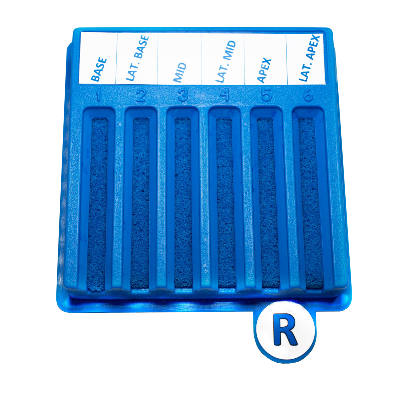 Digital Pathology Solutions for Today's Pathologists - How to Go Digital