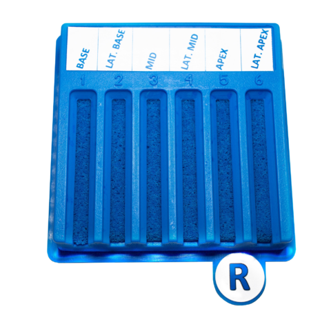 Digital Pathology Solutions for Today's Pathologists - How to Go Digital